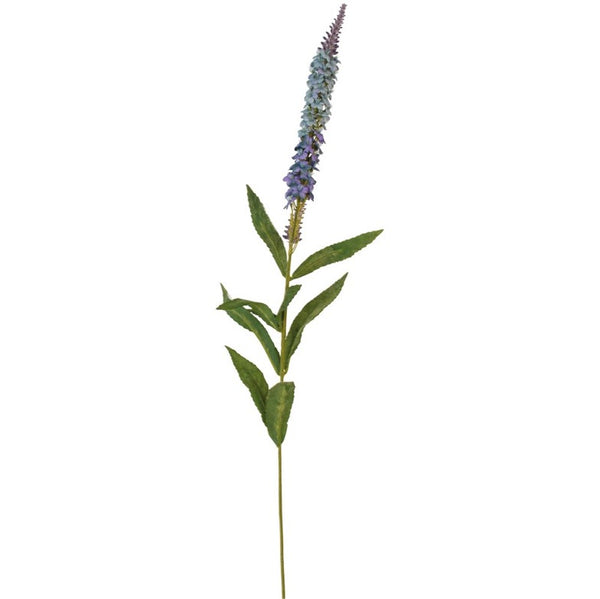Blue Veronica Spray – Warings Lifestore